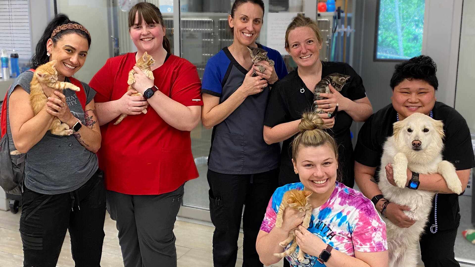 Veterinarian In Gahanna, OH 43230 | Gahanna Animal Hospital