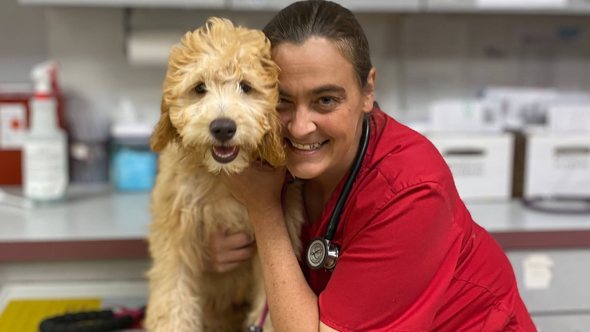 Request A Prescription Refill | Gahanna Animal Hospital